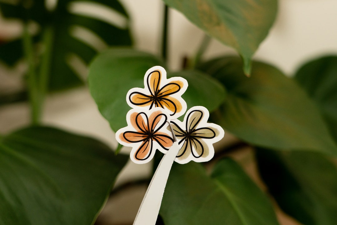 Small Flower Sticker Pack Weatherproof Pack of 3 - Etsy