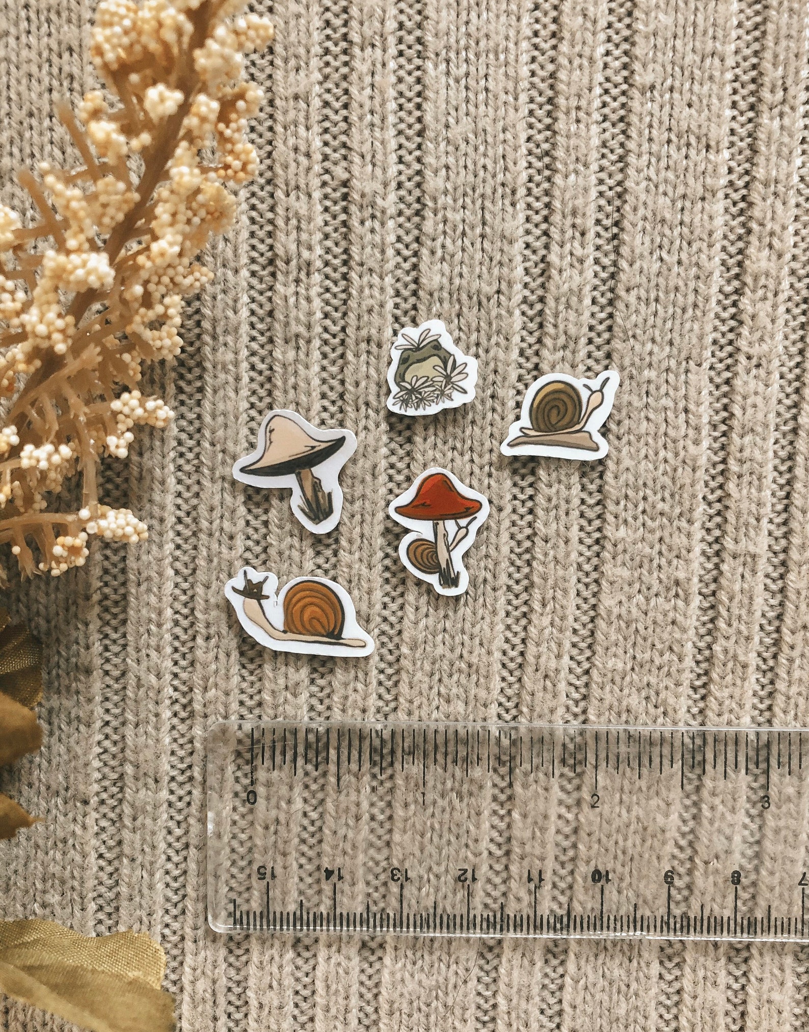 Mini Cottagecore Sticker Pack Snails Mushrooms Frogs - Etsy