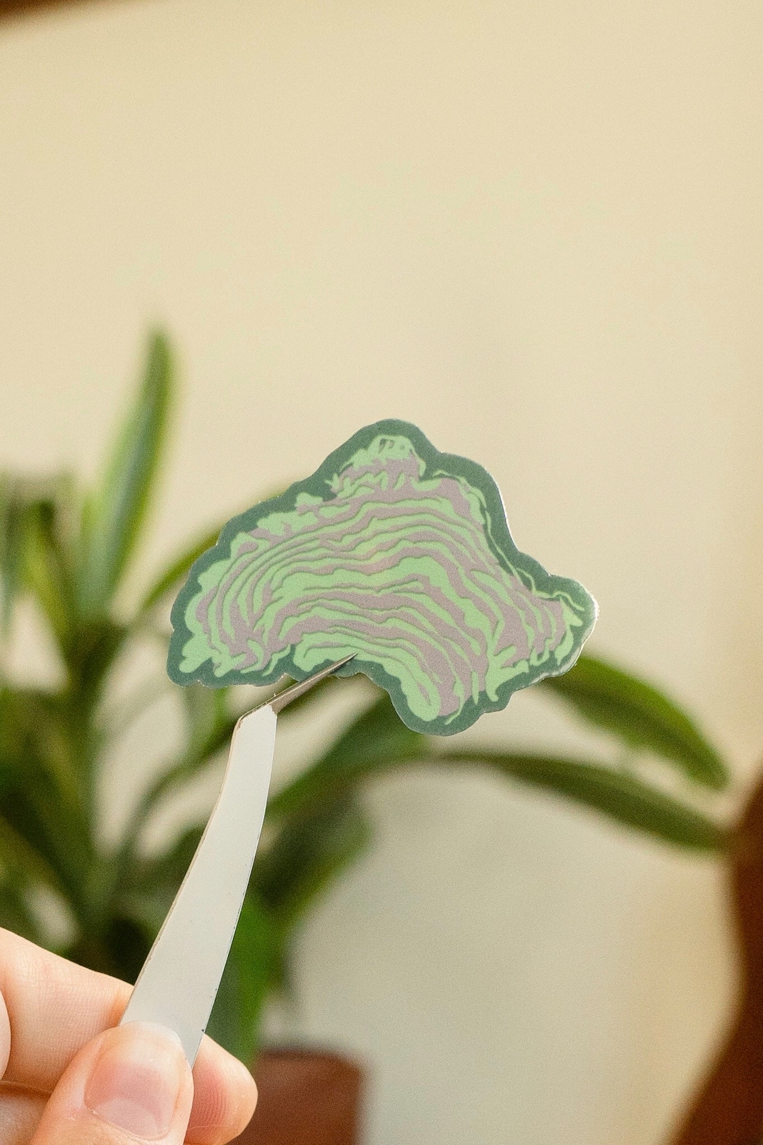 Trippy Mushroom Sticker Weatherproof Travel/nomad/granola Stickers - Etsy