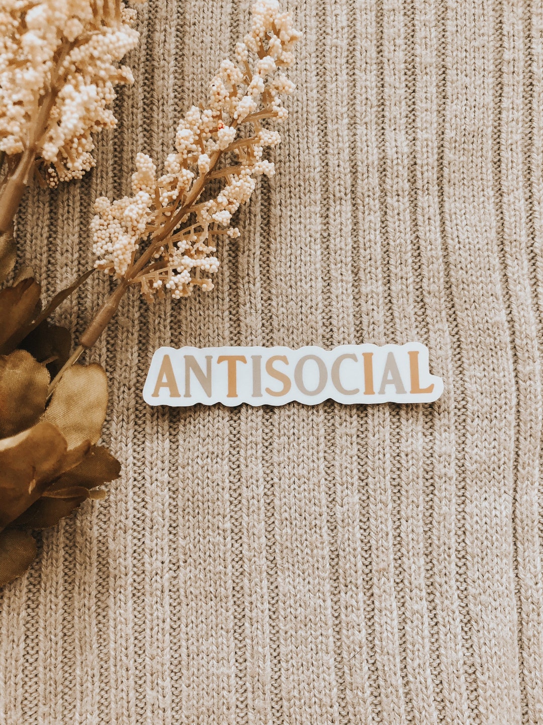 Antisocial Sticker Weatherproof Stickers - Etsy