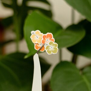 Mini Hawaiian Flower Sticker Pack Pack of 5 Wholesale Options Available ...