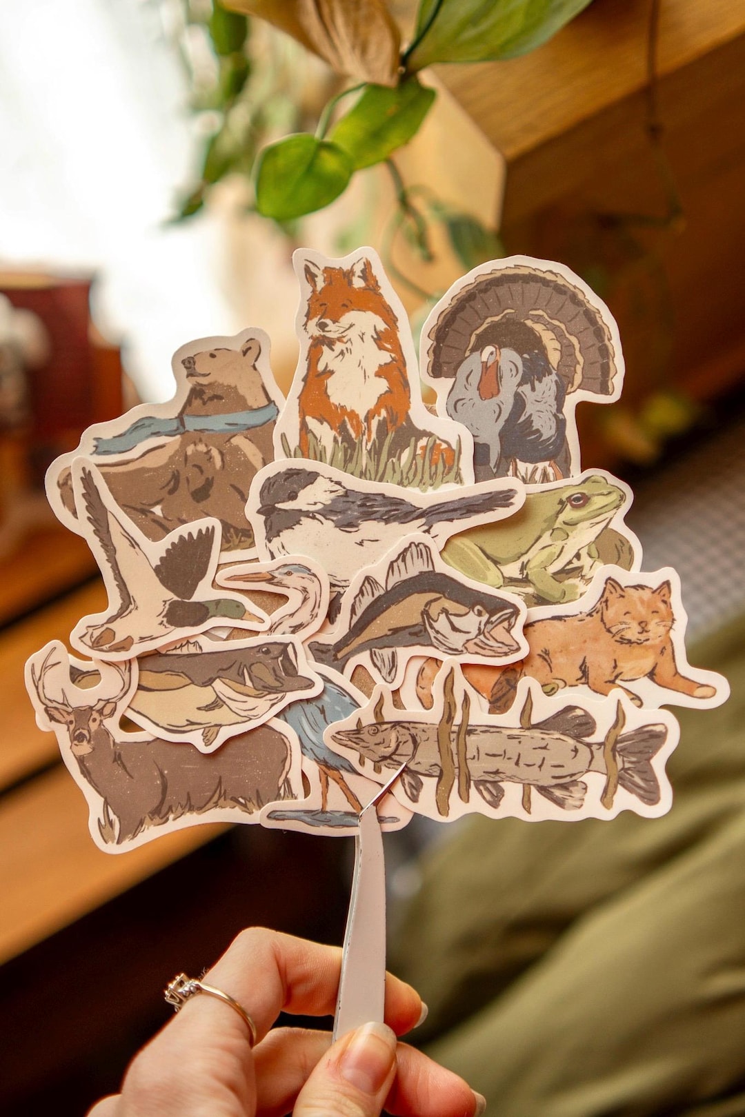 Wildlife Animals Sticker Pack | Waterproof Outdoorsy/nature Inspired ...