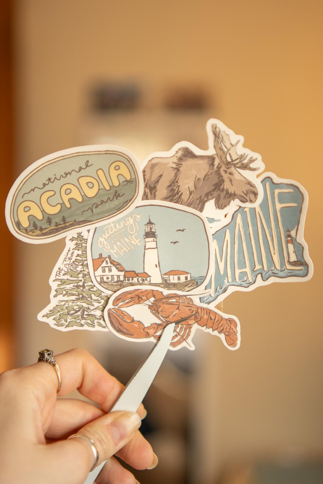 Maine Sticker Pack | Waterproof Outdoorsy/nature Inspired Stickers ...