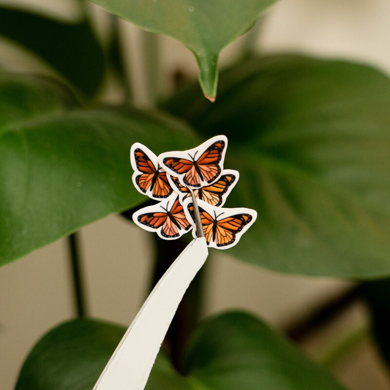 Butterfly Stickers - Etsy