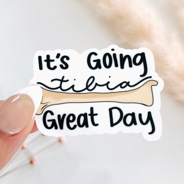 Skull Sticker, Skull, Anatomy, Medicine Student, Creature, Vinyl ...