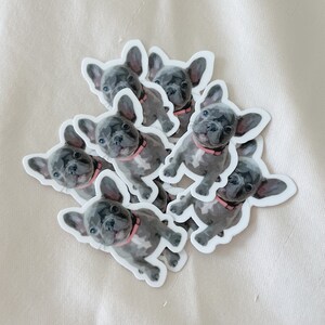 10 Piece Mini French Bulldog Sticker Pack Mini Sticker Pack Waterproof ...