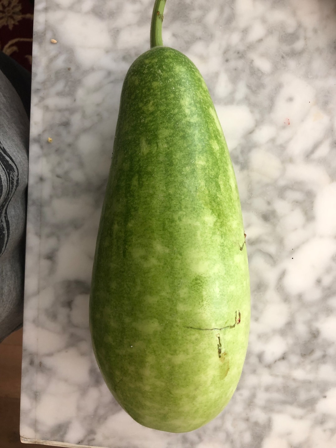 Organic Indian Edible Bottle Gourd Seeds [calabash, Chorakaa, Soraikka ...