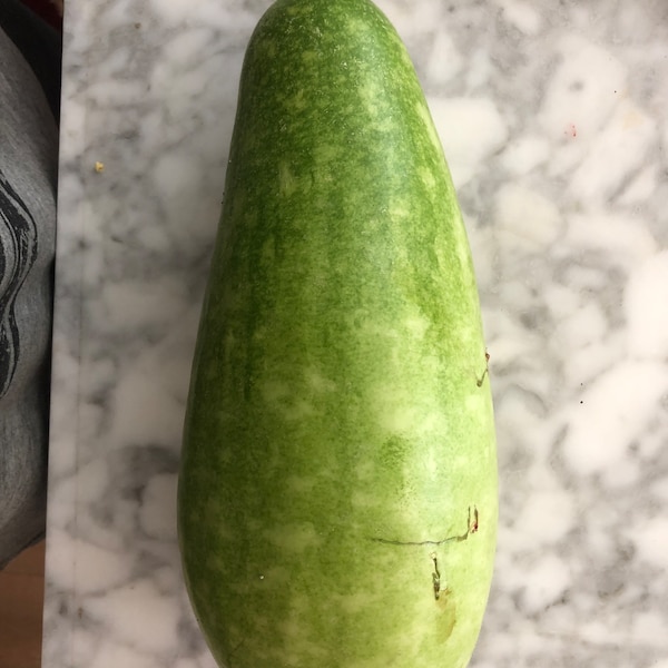 Calabash Gourd - Etsy