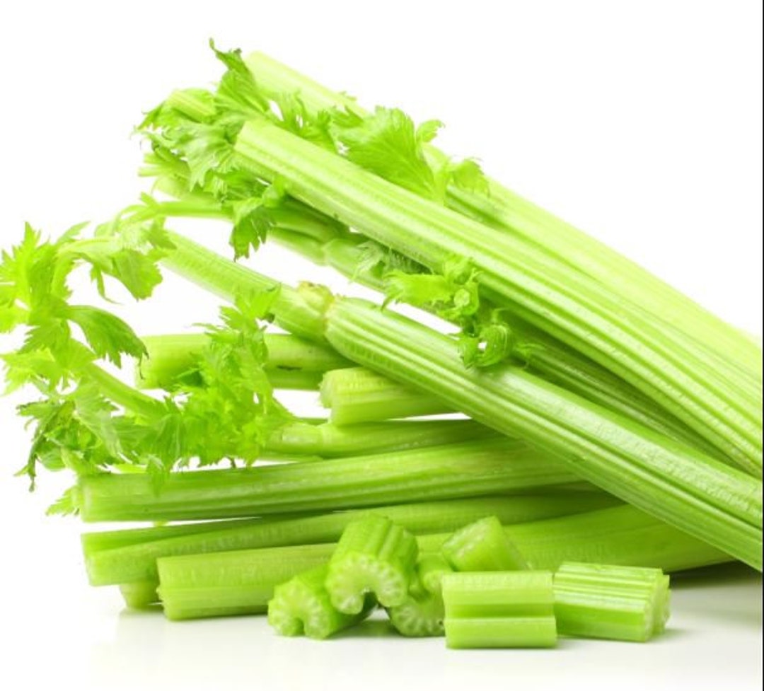 Organic Celery Seeds [home Grown Seeds] - Etsy