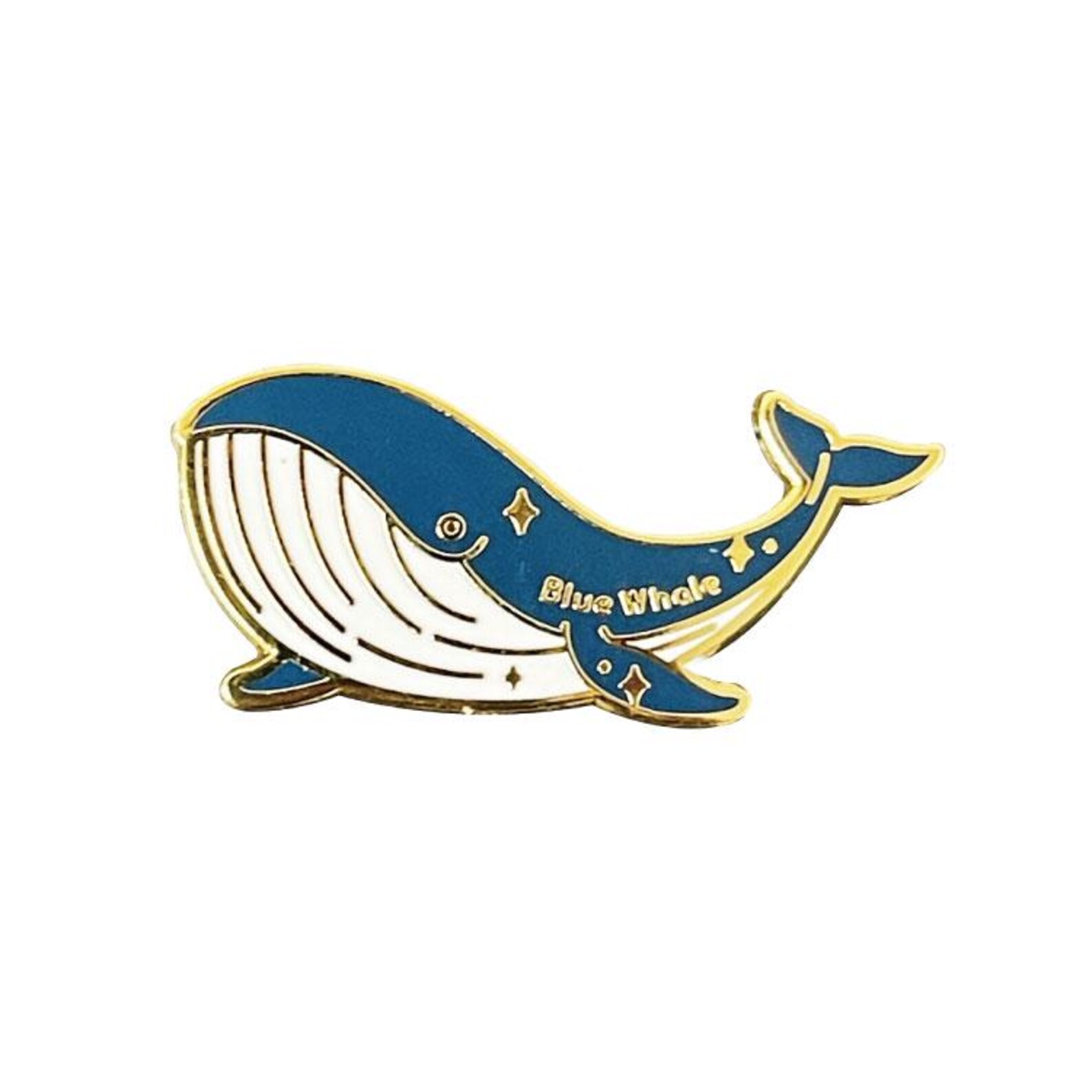 A Collection of Five Whales: Blue Whale, Orca, Finless Porpoise ...