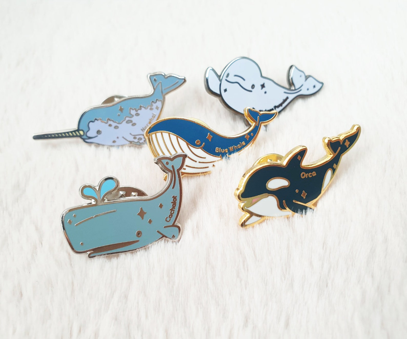 A Collection of Five Whales: Blue Whale, Orca, Finless Porpoise ...