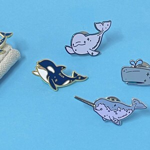 A Collection of Five Whales: Blue Whale, Orca, Finless Porpoise ...