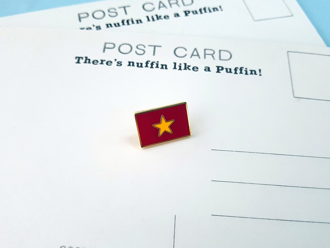 Vietnam flag pin badge | Etsy