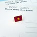 Vietnam Flag Pin Badge - Etsy