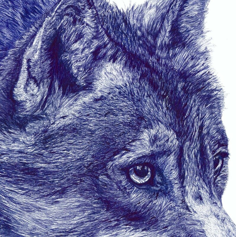 Wolf – Ballpoint Pen Drawing – Signed and Stamped Artwork - Etsy
