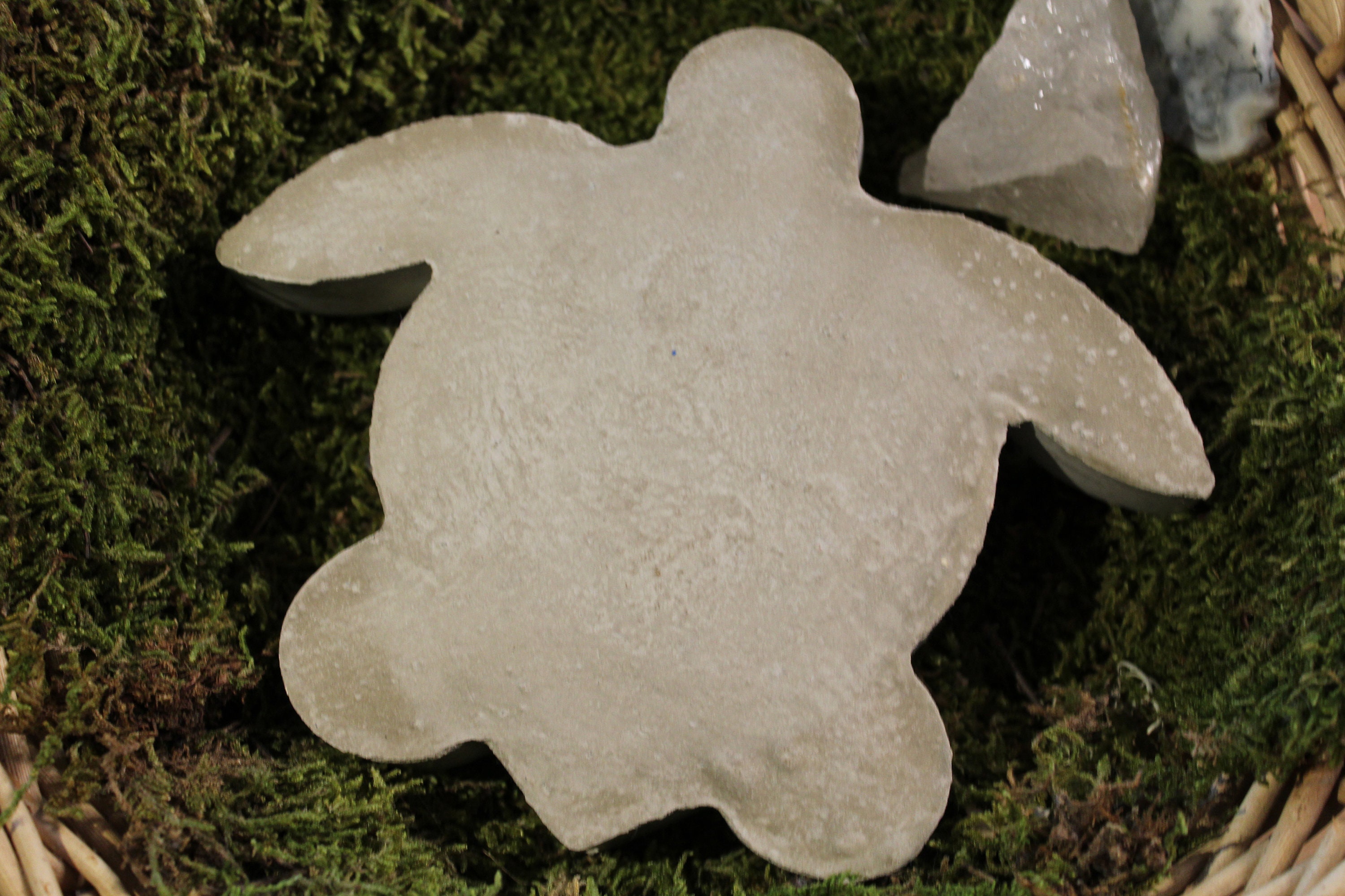 Turtle Shell Concrete Keramin or Resin Bowl in Water Turtle | Etsy