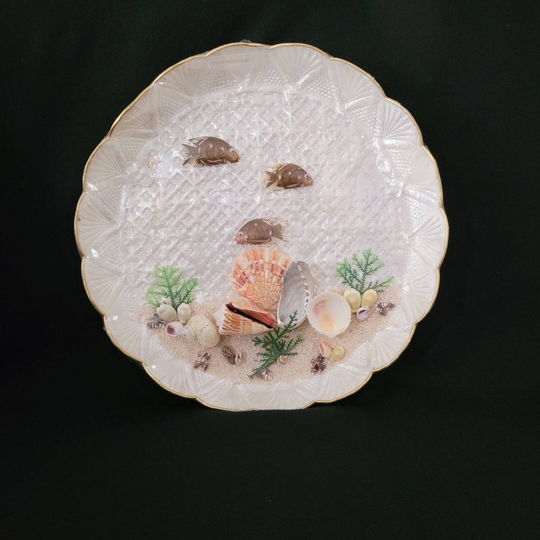 Shell Souvenir Art Shadow Box/ Vintage Kitschy Seashell Decor/ Mid ...