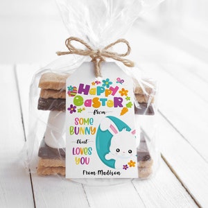 EDITABLE Easter Bunny Tag Printable, Some Bunny Loves You, Treat Tags ...