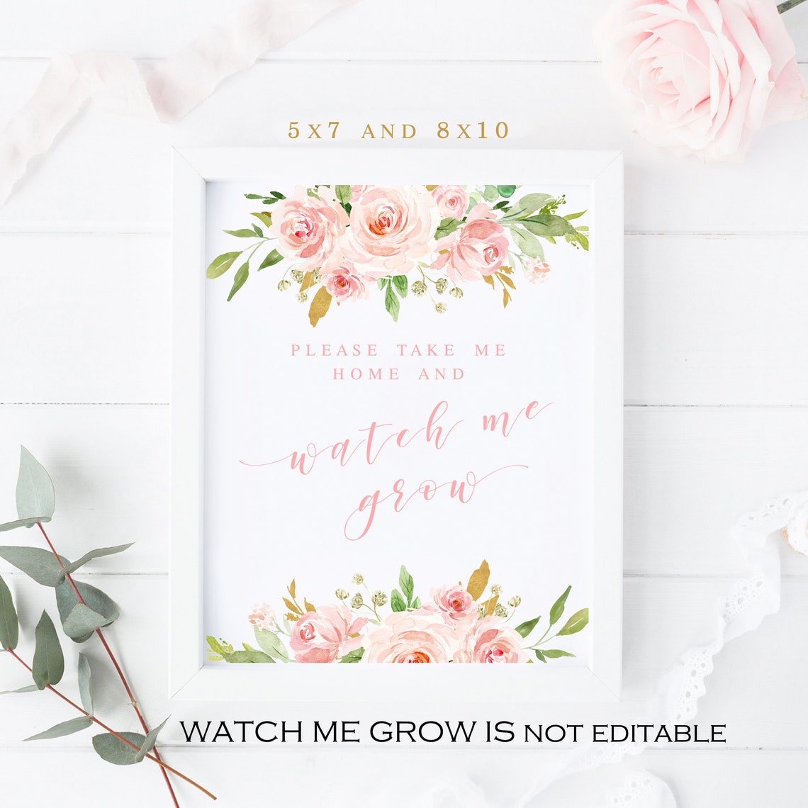 Take Me Home and Watch Me Grow Sign and Tags Printable, Succulent Favor ...