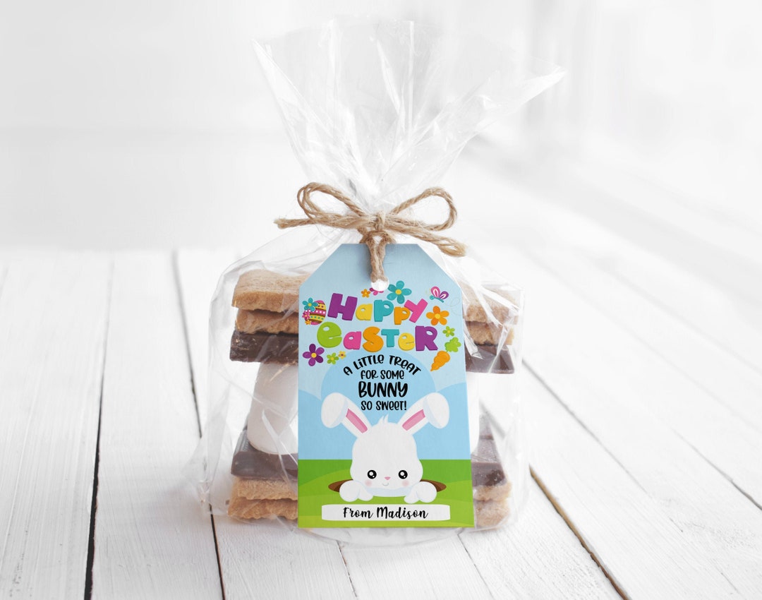 EDITABLE Easter Bunny Tag Printable, Basket Party Favors, Personalized ...