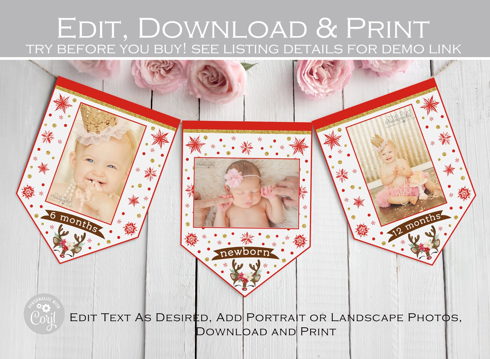 Reindeer Happy Birthday Banner Printable Girl Deer Birthday - Etsy