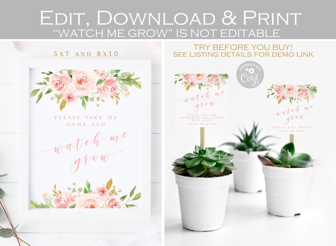 Take Me Home and Watch Me Grow Sign and Tags Printable, Succulent Favor ...