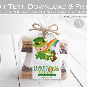 EDITABLE St. Patrick's Day Tag Printable, St. Patty's Co-worker Kids ...