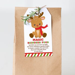 Magic Reindeer Food Tags Printable, Party Favors, Kids Christmas Hang ...