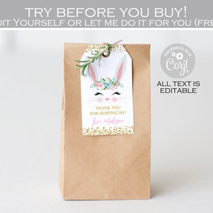 Bunny Thank You Tag, Some Bunny is One Party Favor Tags, Girl Baby ...