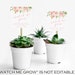 Watch Me Grow Tags Printable, Succulent Favor Tag, Floral Blush Pink ...