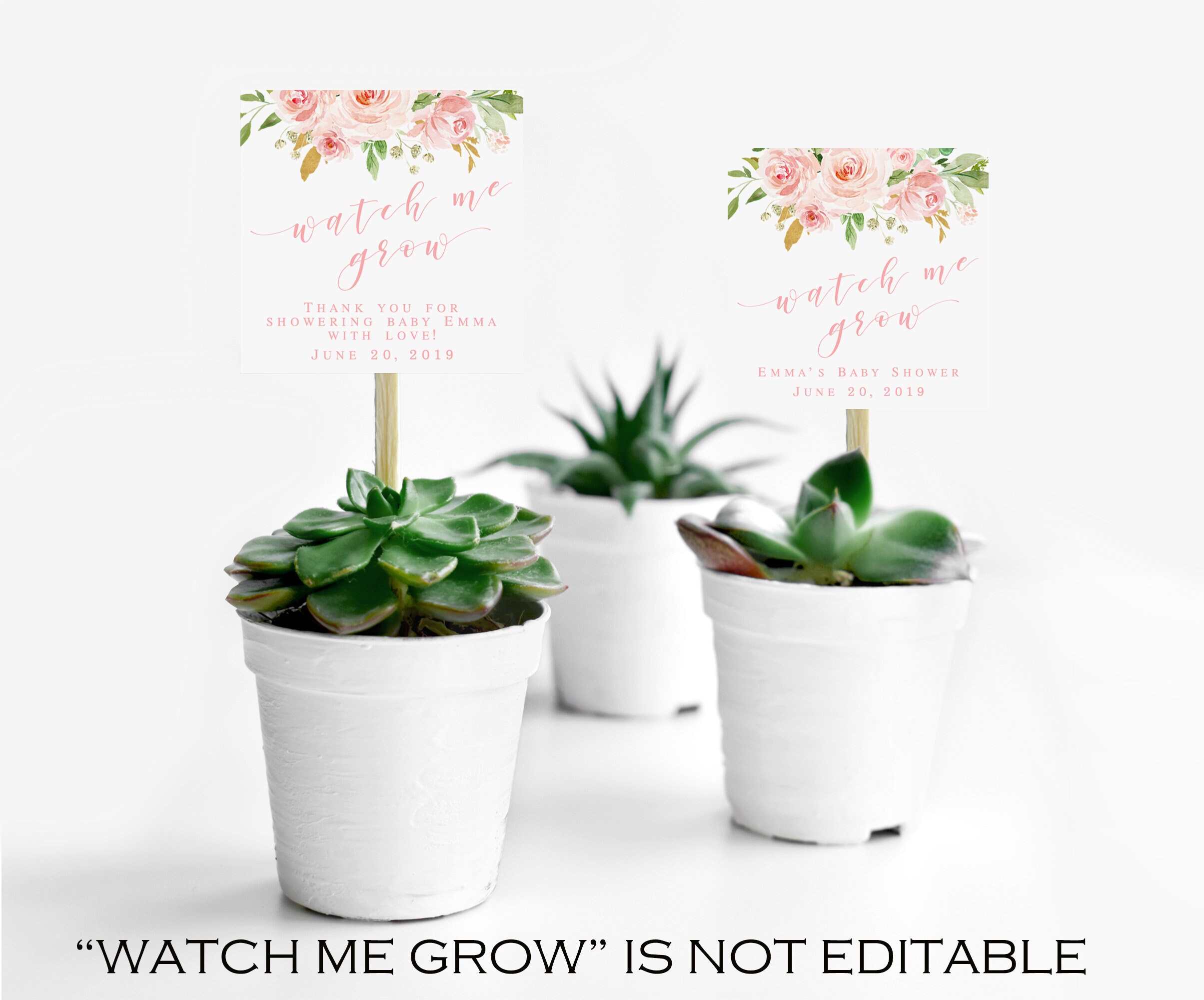 Take Me Home and Watch Me Grow Sign and Tags Printable | Etsy