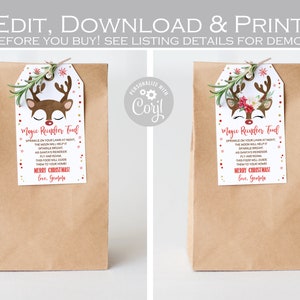 Editable Magic Reindeer Food Tags, Christmas Hang Tags Printable ...