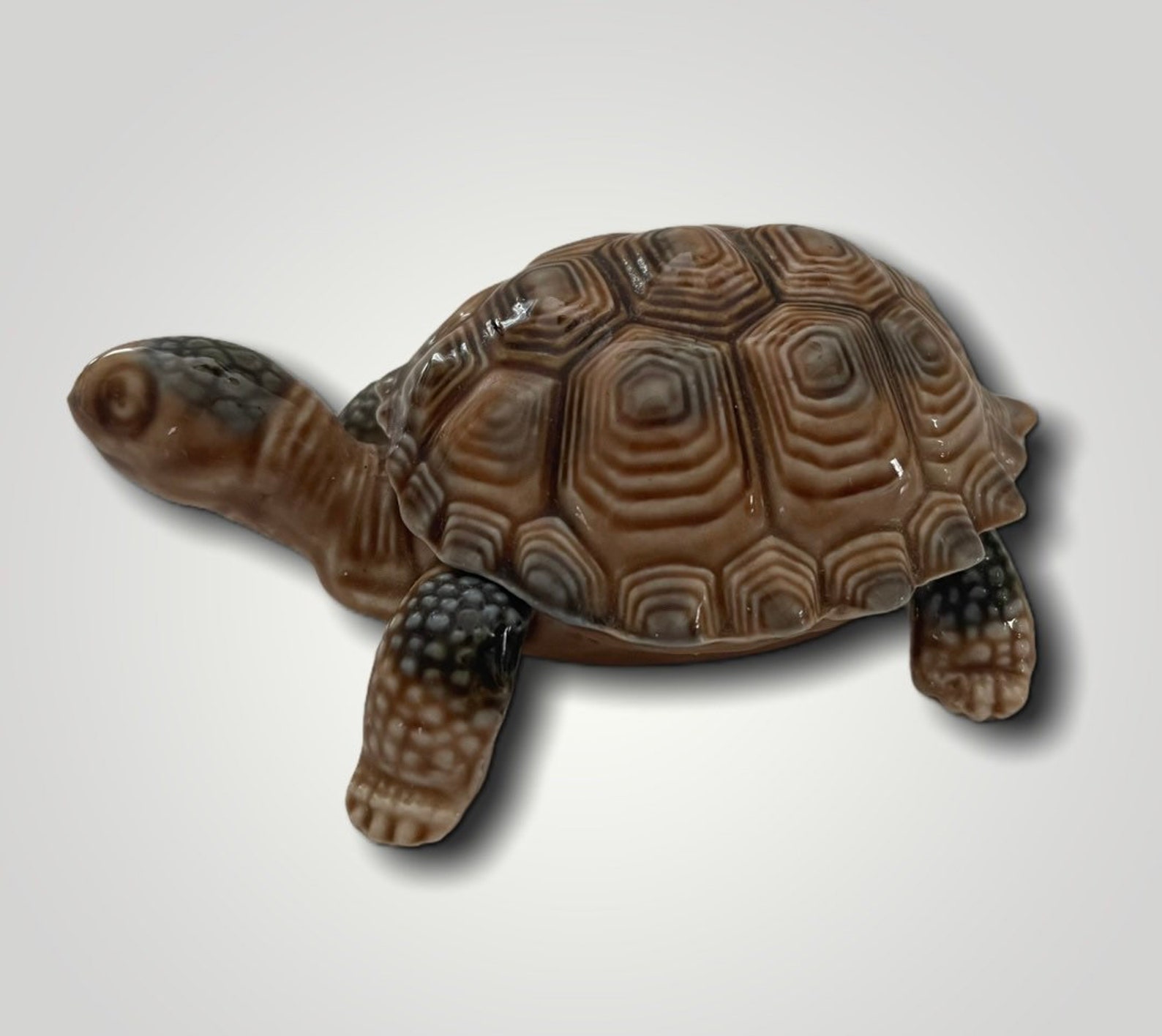 Wade China Porcelain Trinket Box Turtle Tortoise Made in England - Etsy