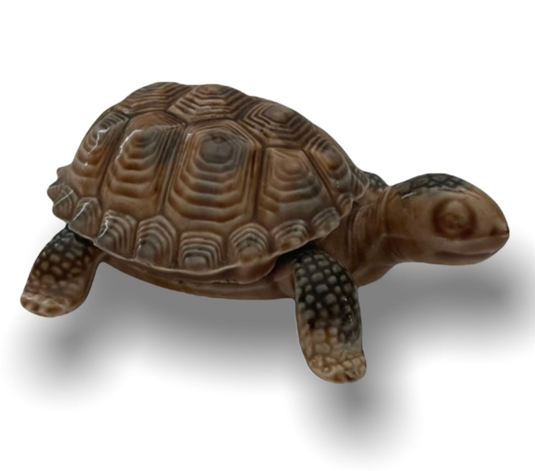 Wade China Porcelain Trinket Box Turtle Tortoise Made in England - Etsy
