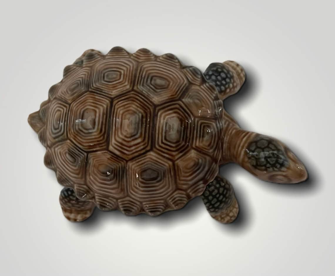 Wade China Porcelain Trinket Box Turtle Tortoise Made in England - Etsy