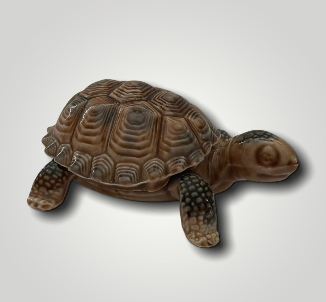 Wade China Porcelain Trinket Box Turtle Tortoise Made in England - Etsy
