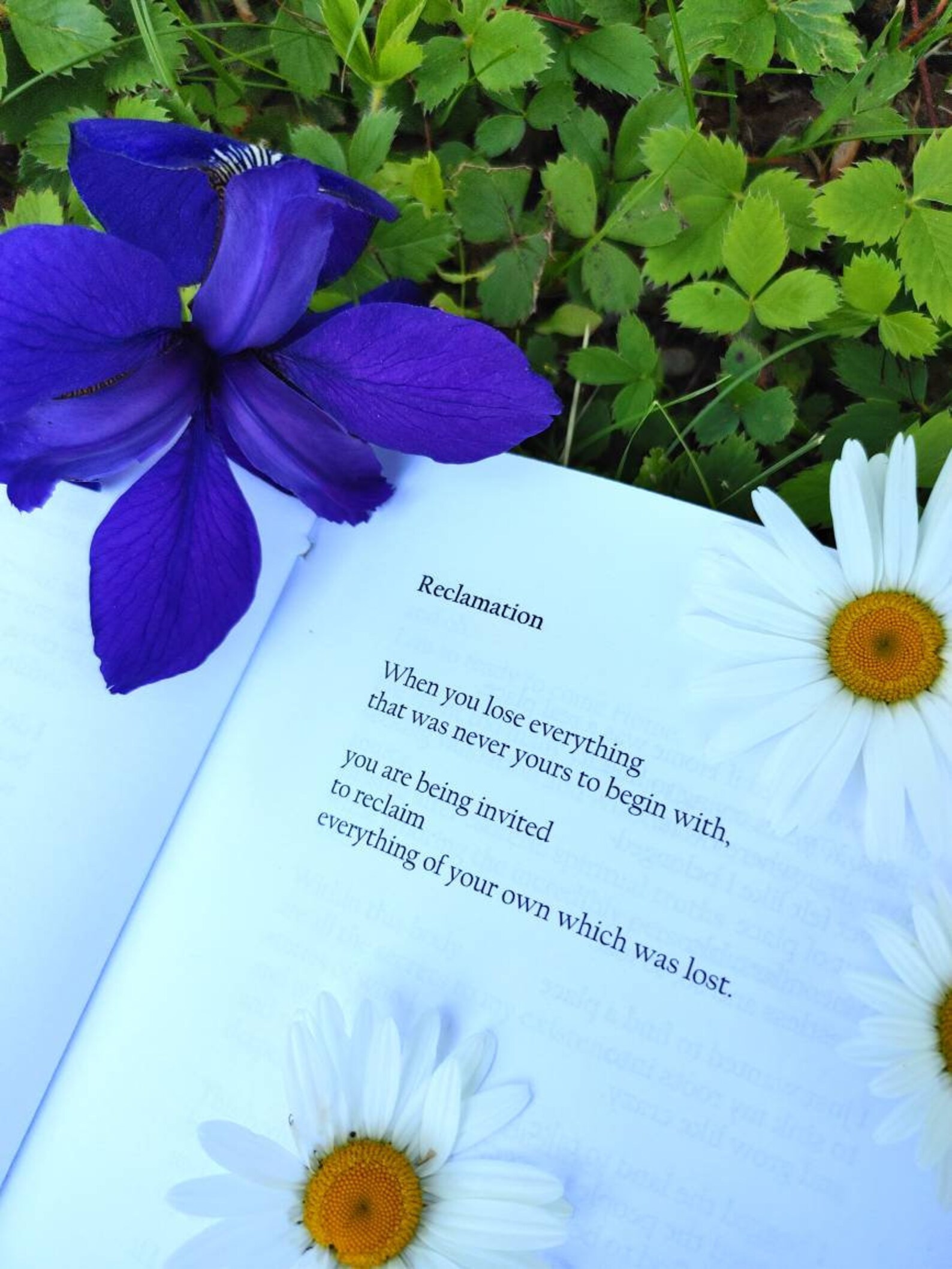 The Sun is on Its Way Handmade Book of Poetry / Gracieyin - Etsy