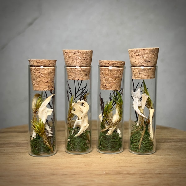 Oddity - Etsy
