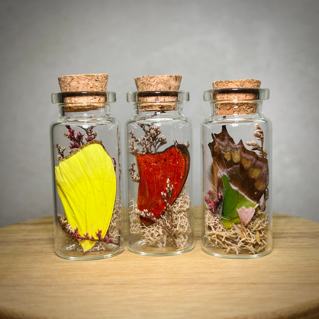 Fairy Core Oddities and Curiosities Spell Jar Gift Set Three - Etsy