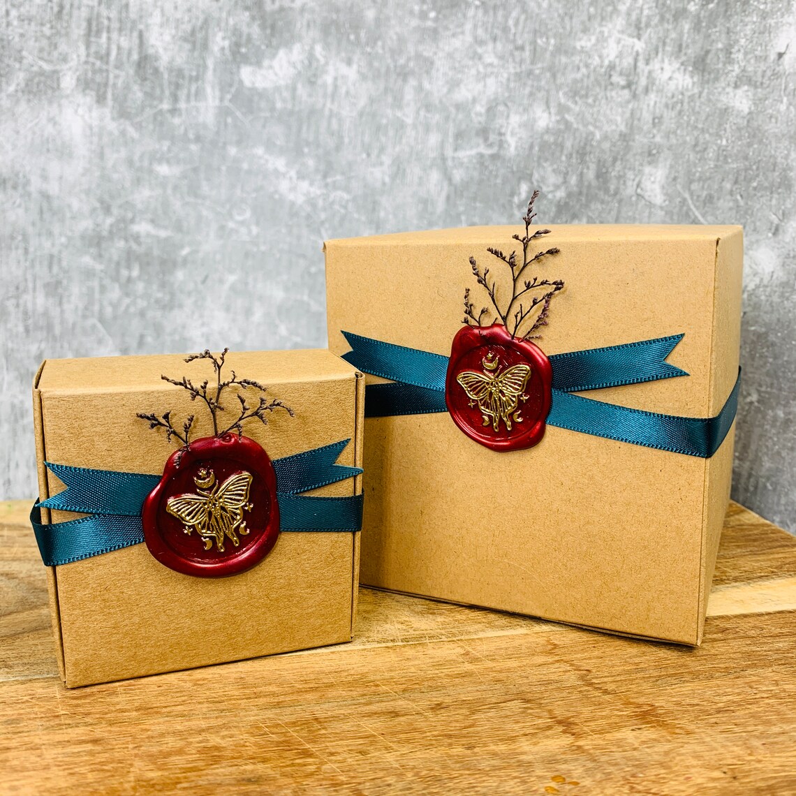 Real Leafhopper Bug Display Unique Insect Display Dome - Etsy