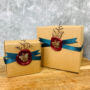 Real Leafhopper Bug Display Unique Insect Specimen for Entomology ...