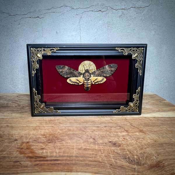 Death Head Moth - Etsy