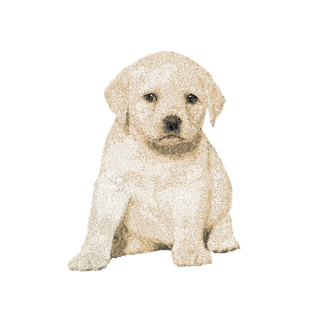 Custom Photo Stitch Machine Embroidery Design. Personalized Embroidery ...