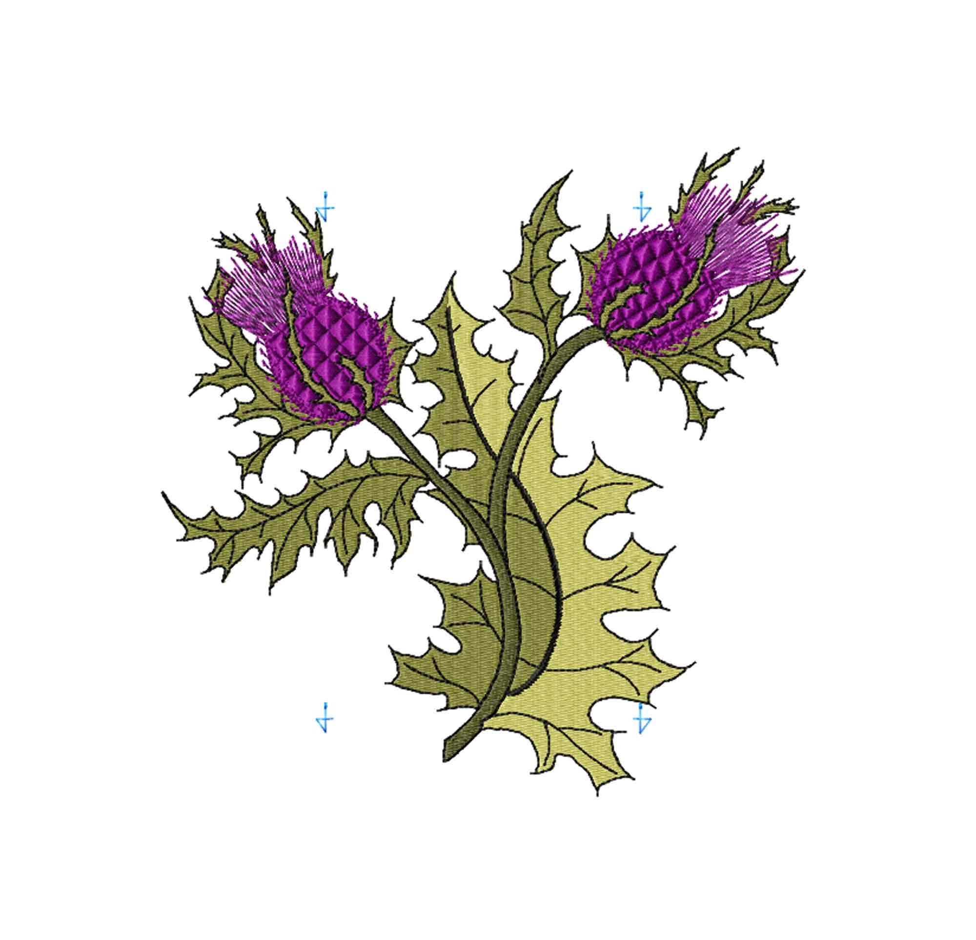 Flowers border Machine Embroidery design Thistle border | Etsy