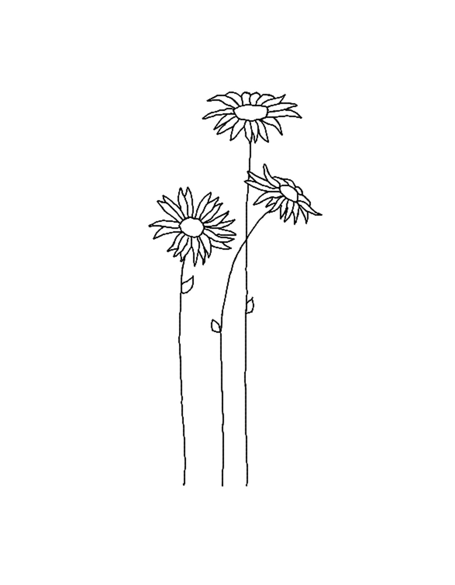 Flowers One Line Machine Embroidery Design. Set Chamomile - Etsy