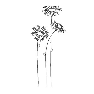 Flowers One Line Machine Embroidery Design. Set Chamomile Embroidery ...