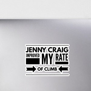 Funny Aviation Pilot Sticker Bubble-free Stickers, Flying Stickers ...