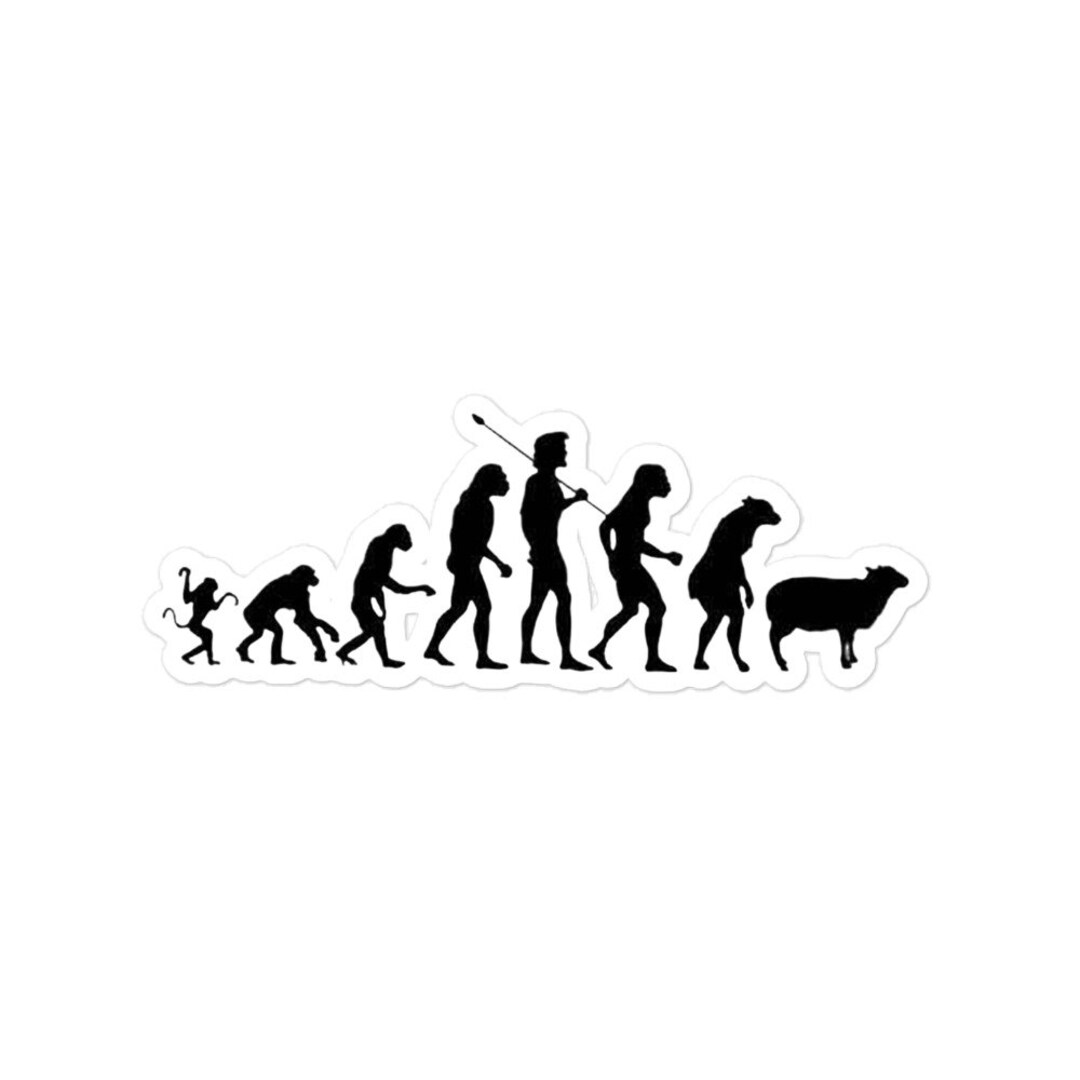Men to Sheep Bubble-free Stickers, Evolution Sticker, Monkey Man Sheep ...