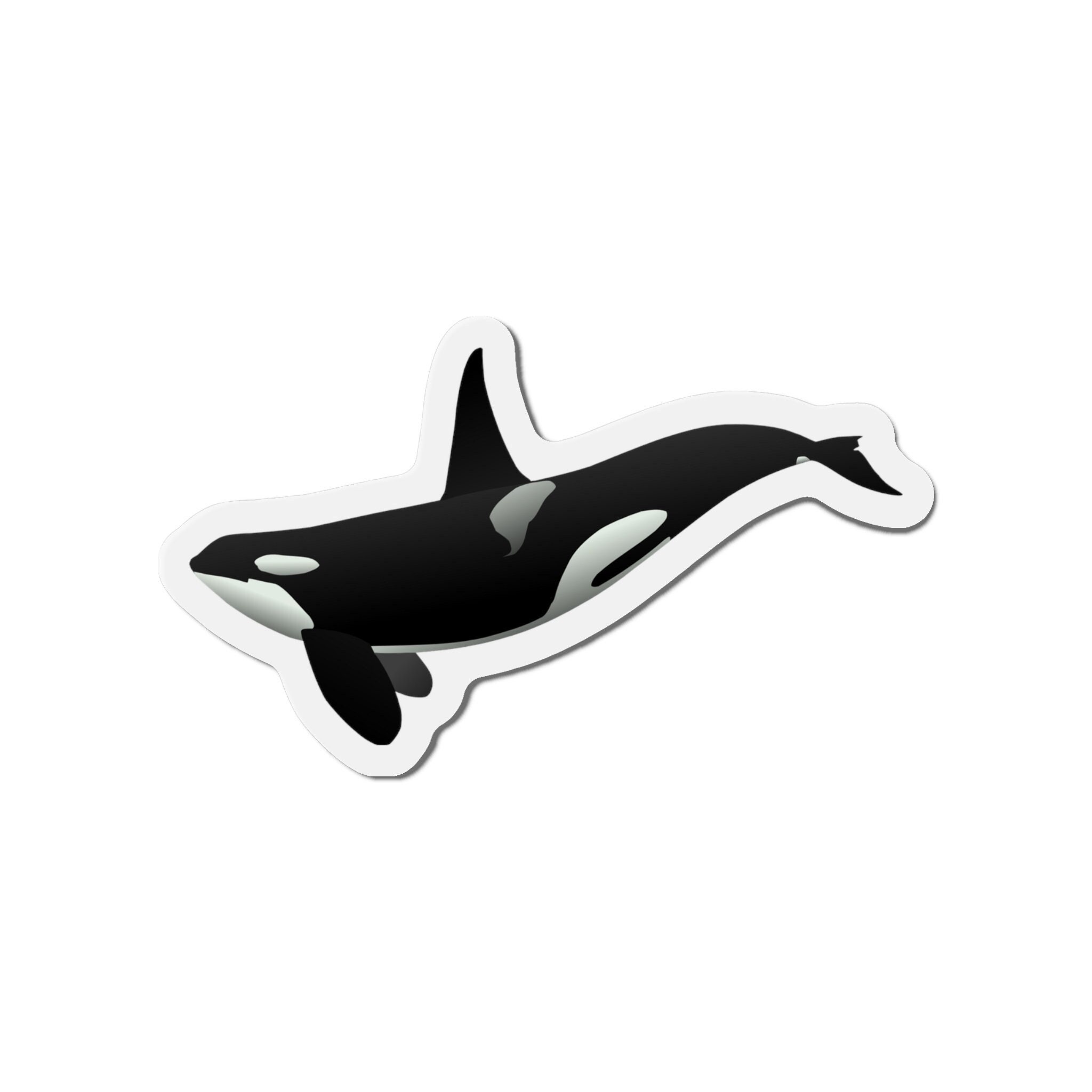Orca Die-cut Refrigerator Magnet Killer Whale Frig Magnet - Etsy