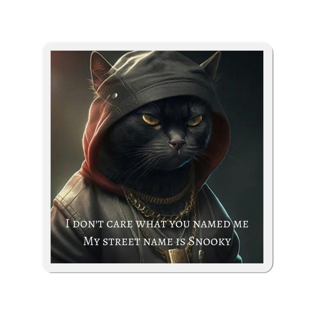 Funny Cat Refrigerator Magnets Magnets, I Don' Care What You Named Me ...